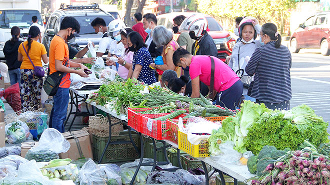 Kadiwa Store in Barangay Sikatuna Village • The Market Monitor