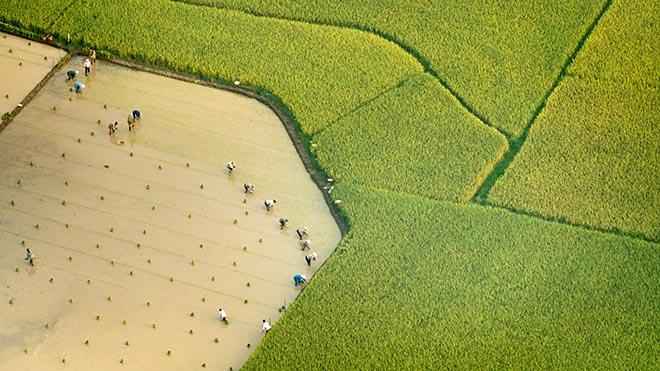 Global farmers move towards sustainable farming • The Market Monitor