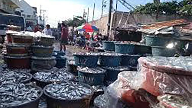 2024 fisheries output lowest in 2 decades • The Market Monitor