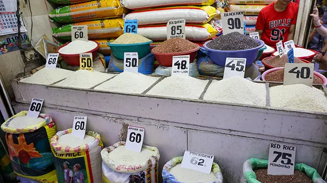 Monitoring rice prices • The Market Monitor
